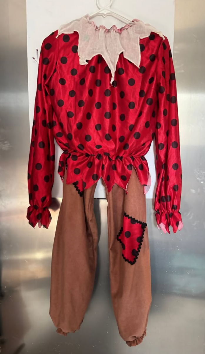 Scarecrow Art Stone Dance Costume #E308 – Dancewear Closet, LLC